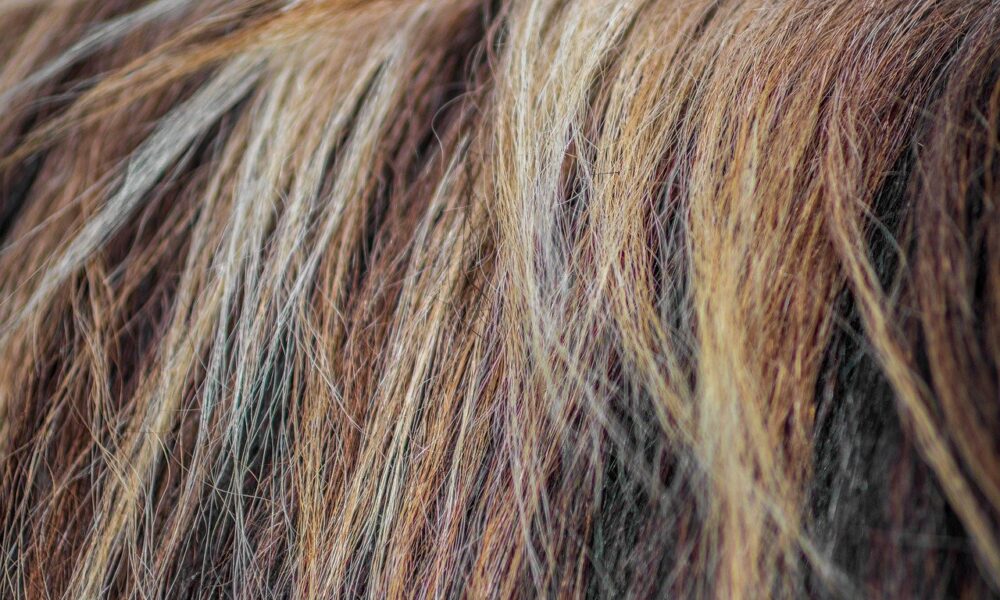 Last van haar uitval na je bevalling? Deze tips kunnen je helpen ...